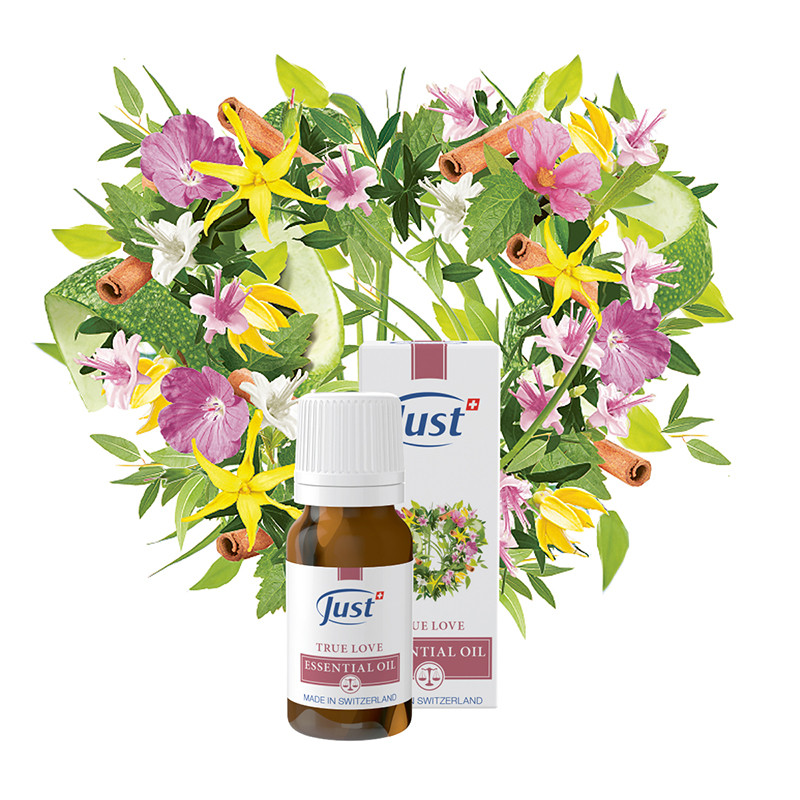 Startseite - JUST Deutschland